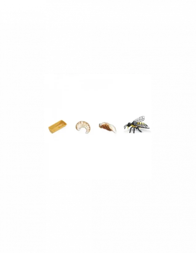 Safari Ltd. - Životní cyklus - Včela :: Hračkolka